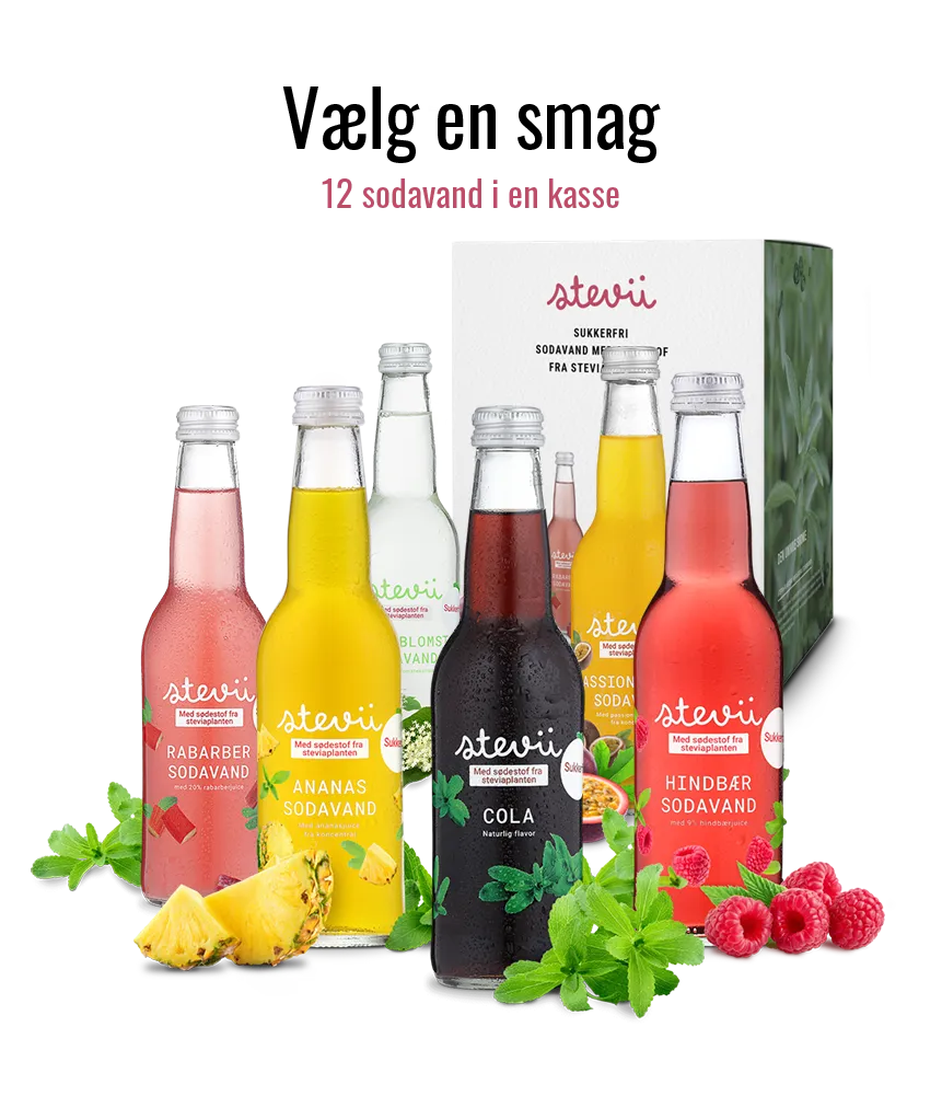 Vælg én smag 12 stk. pr. kasse – Stevii.dk